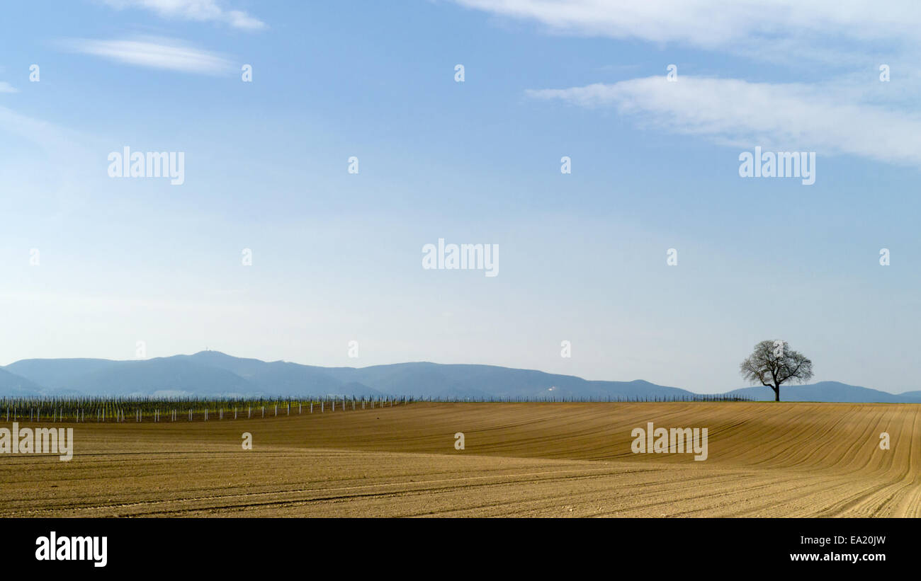 Spring farmland hi-res stock photography and images - Alamy