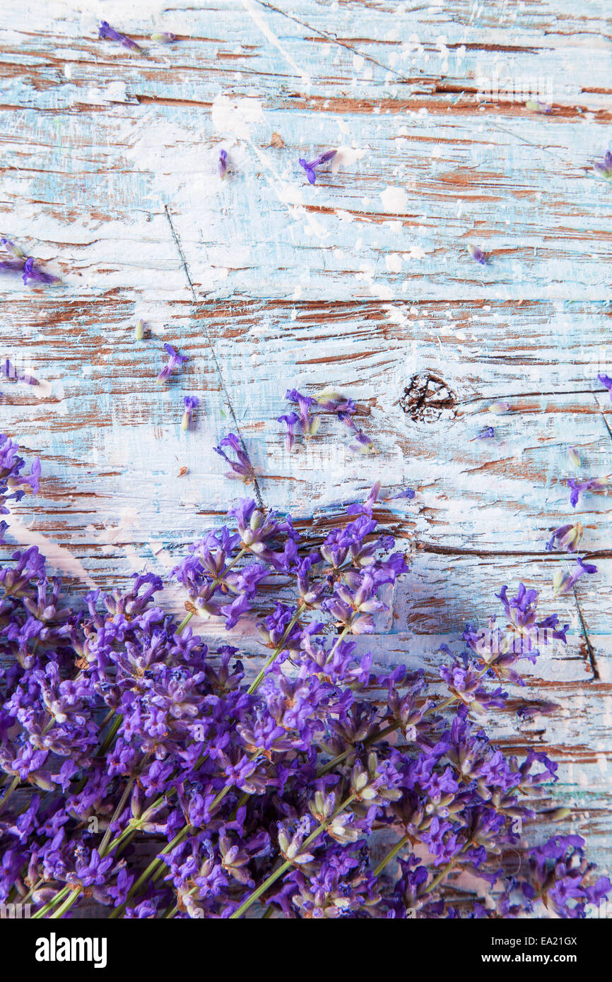 Lavender top view hi-res stock photography and images - Alamy