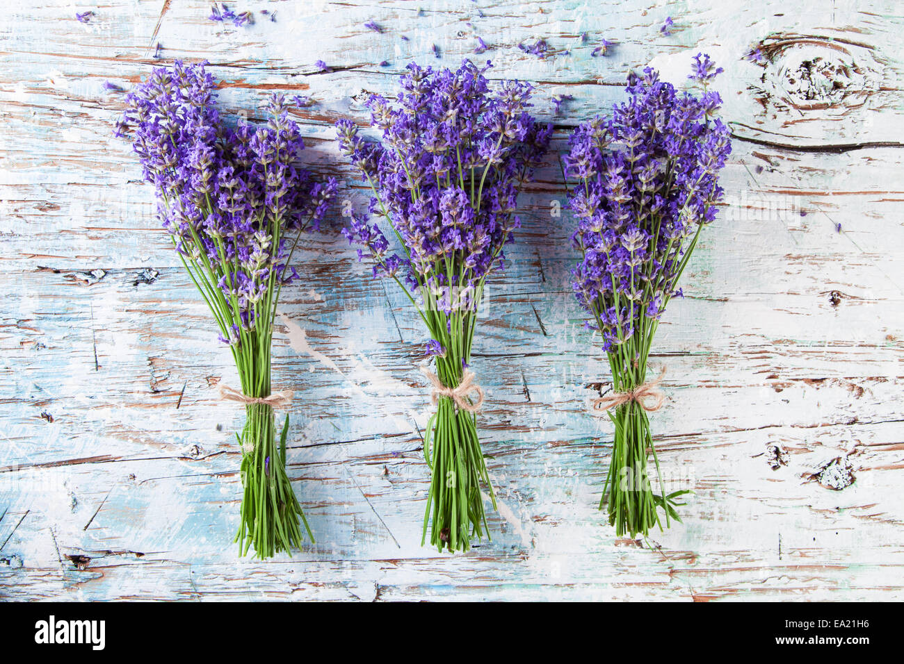 Lavender top view hi-res stock photography and images - Alamy