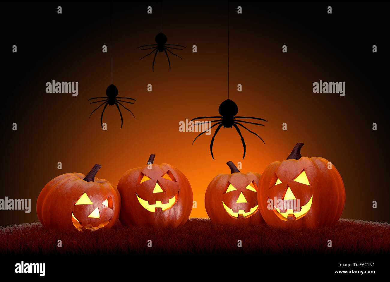 Halloween pumpkins and spiders Stock Photo - Alamy