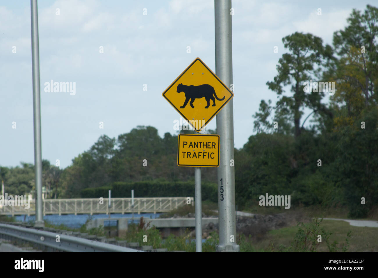 Panther crossing hi-res stock photography and images - Alamy