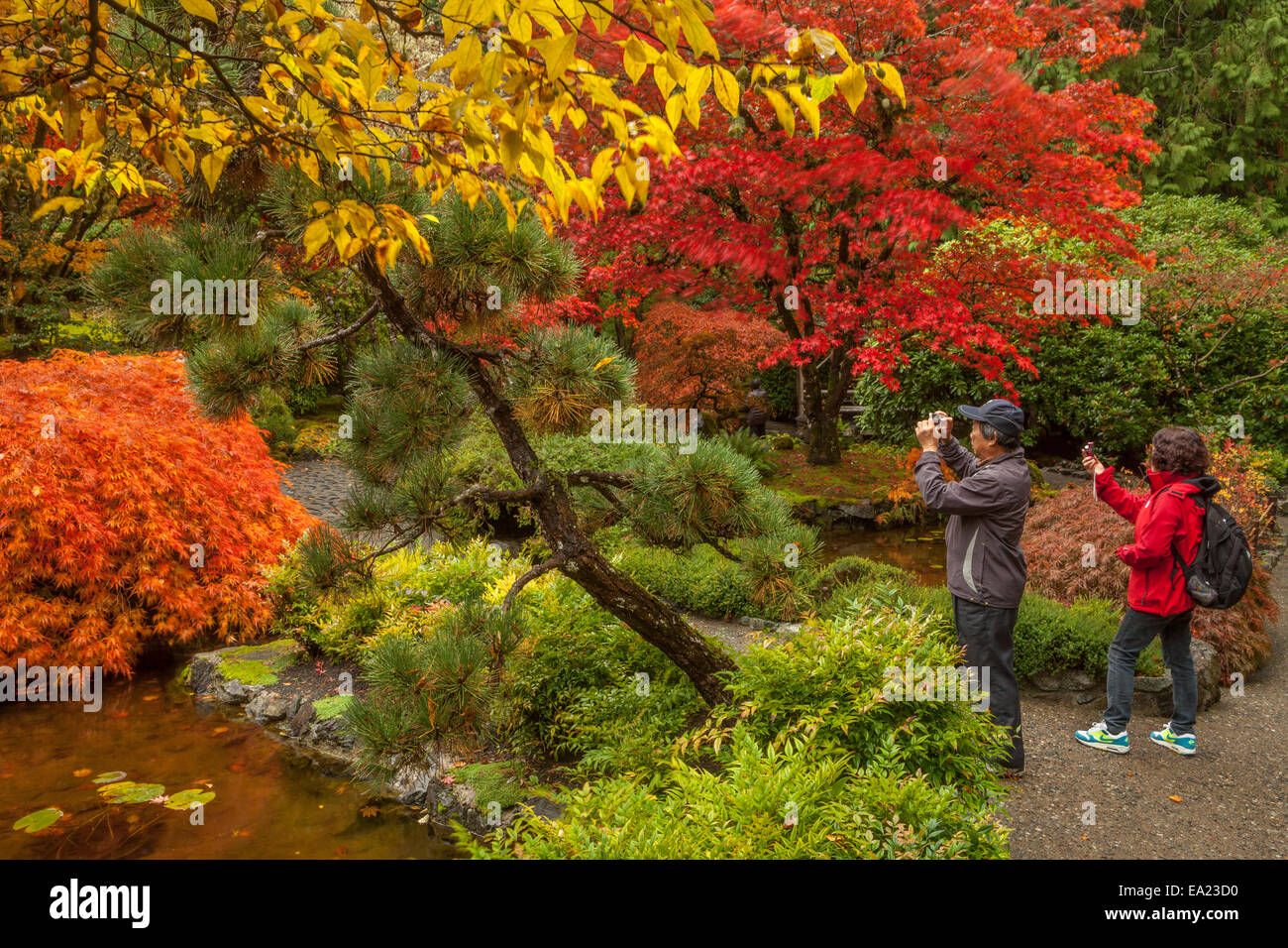 Photographing fall colors hi-res stock photography and images - Alamy
