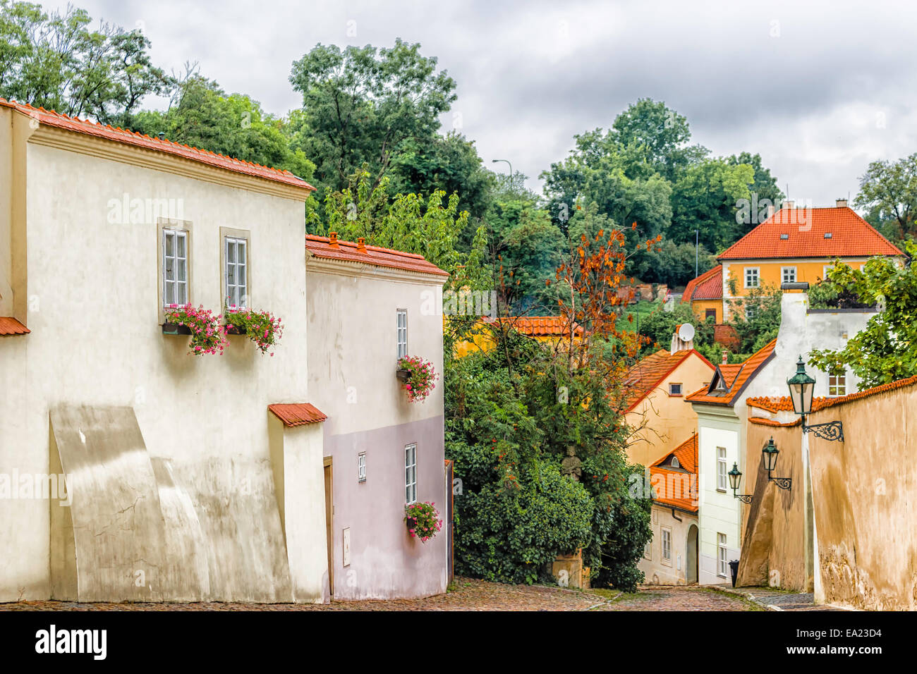 Buildings and houses in the historical center of Prague. Green trees ...