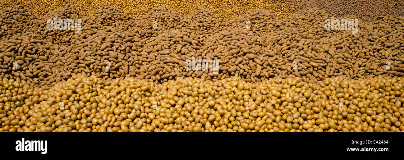 Colorado crops hi-res stock photography and images - Alamy