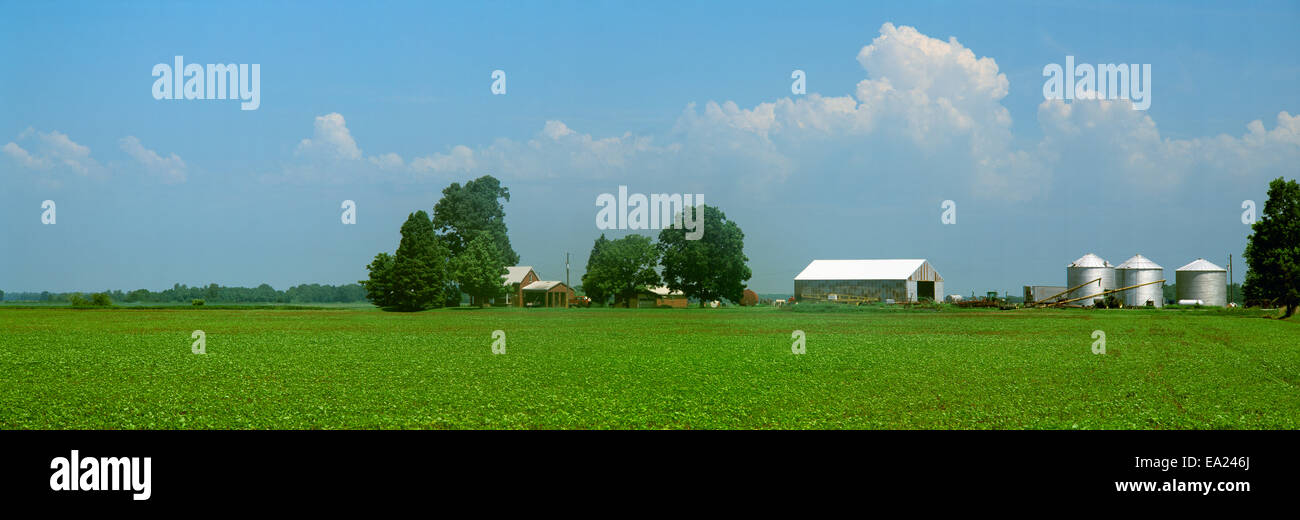 Timothy mo hi-res stock photography and images - Alamy