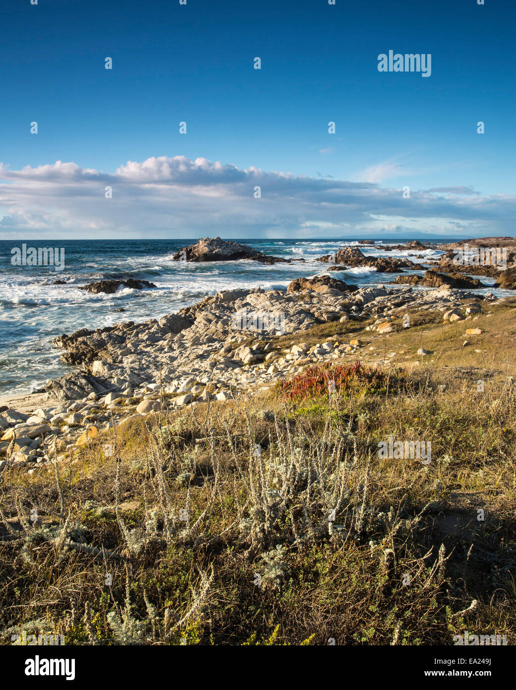 Asilomar State Beach in Pacific Grove Stock Photo - Alamy
