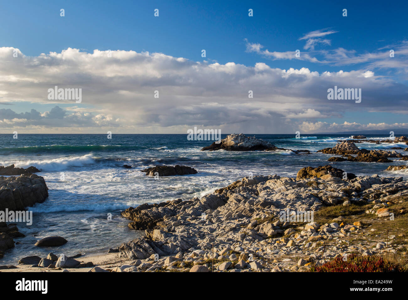 Asilomar State Beach in Pacific Grove Stock Photo - Alamy