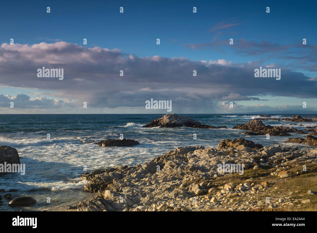 Asilomar State Beach in Pacific Grove Stock Photo - Alamy