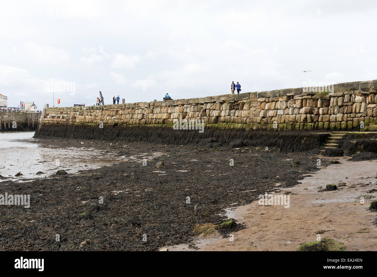 Whitby harbour looking at East pier wall, North Yorkshire, England ...