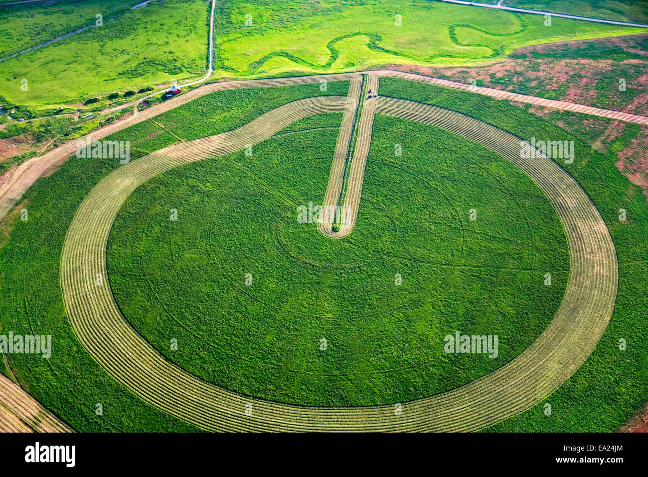 Aerial view of a circular center pivot irrigated field of hay grown as ...
