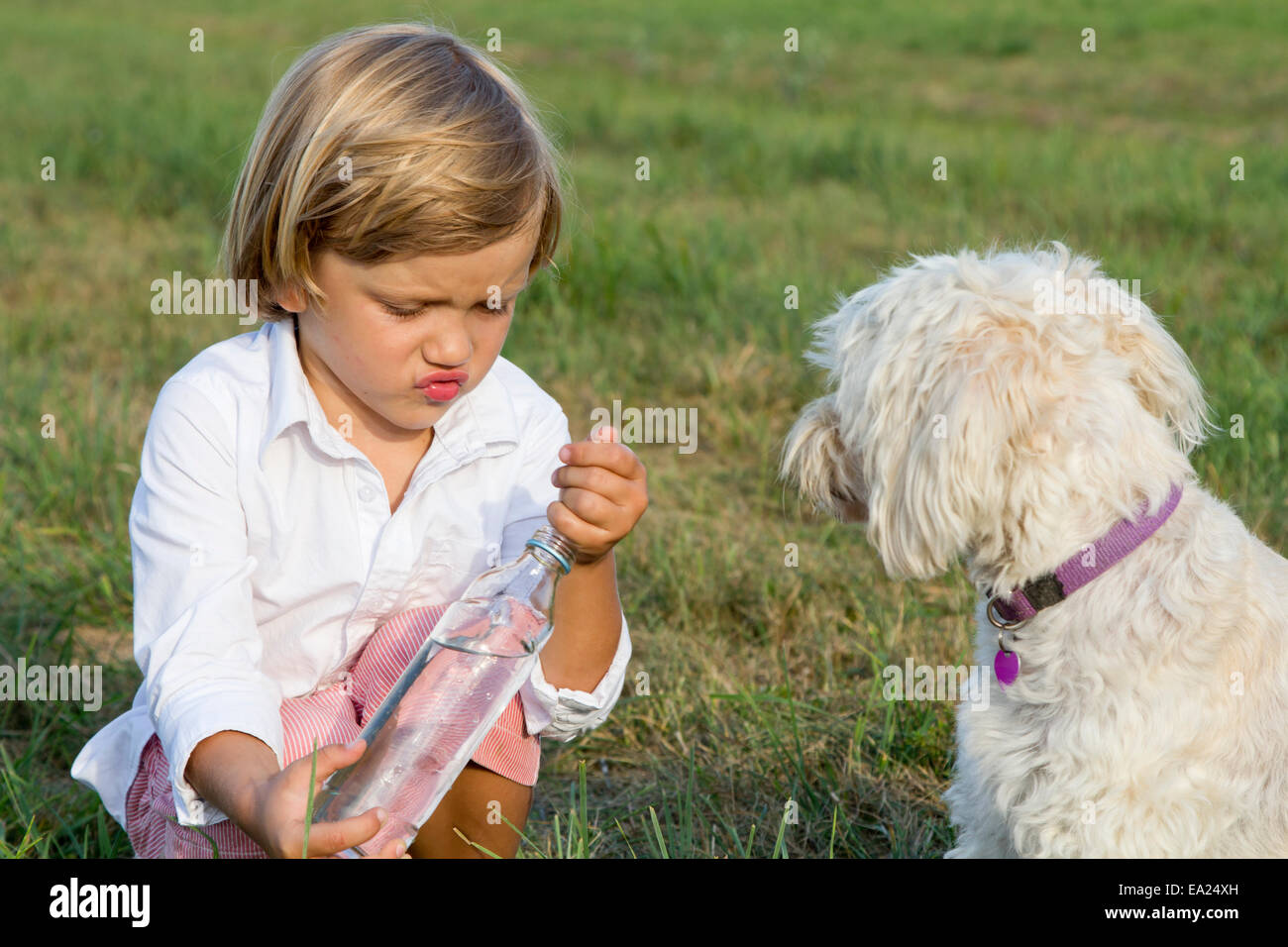 Young cute boy giving water to dog Stock Photo - Alamy