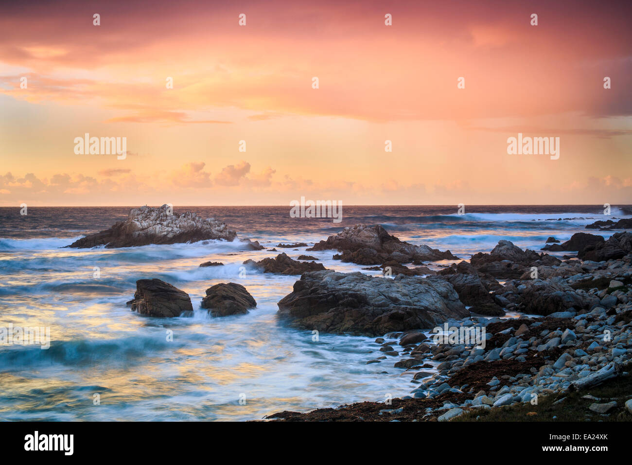 Asilomar State Beach in Pacific Grove Stock Photo - Alamy