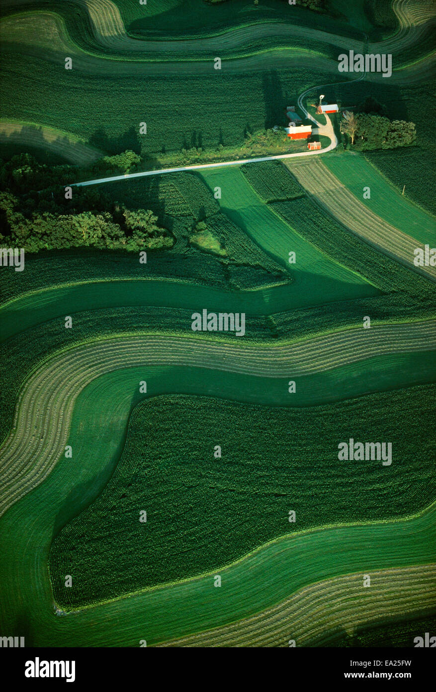 Strip cropping hi-res stock photography and images - Alamy