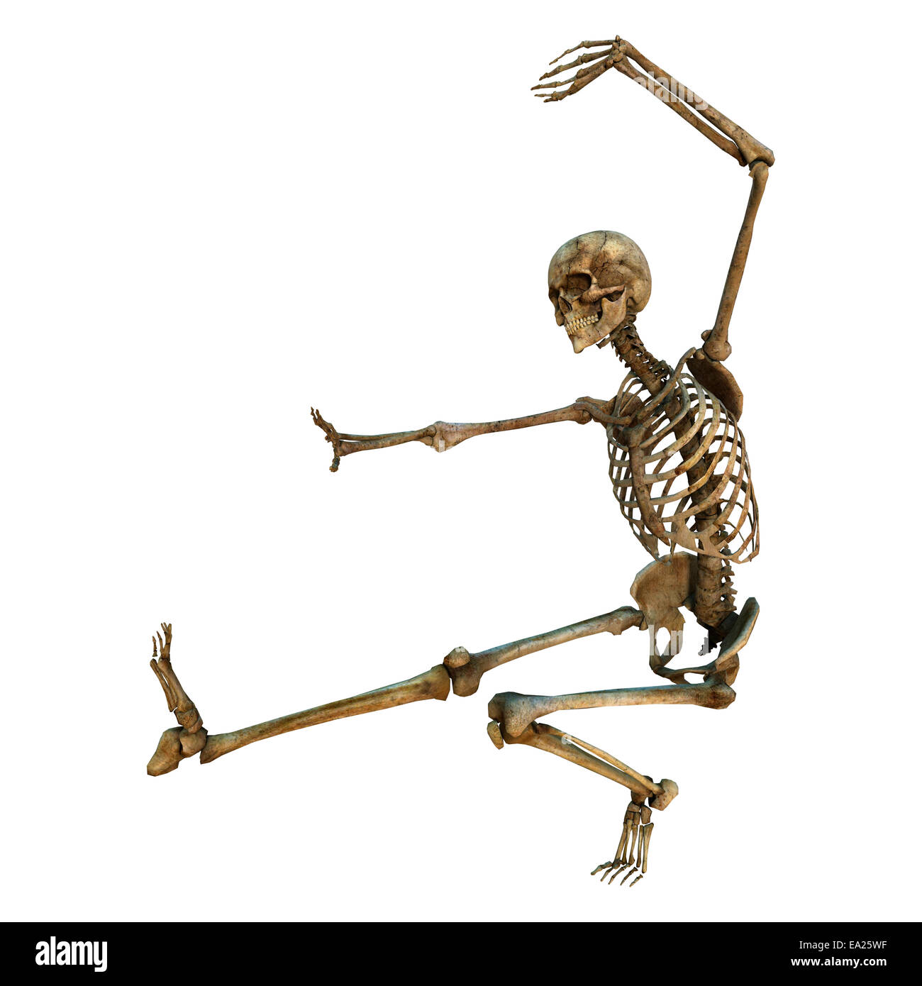 3D digital render of a human skeleton in a mae-tobi gari martial arts ...