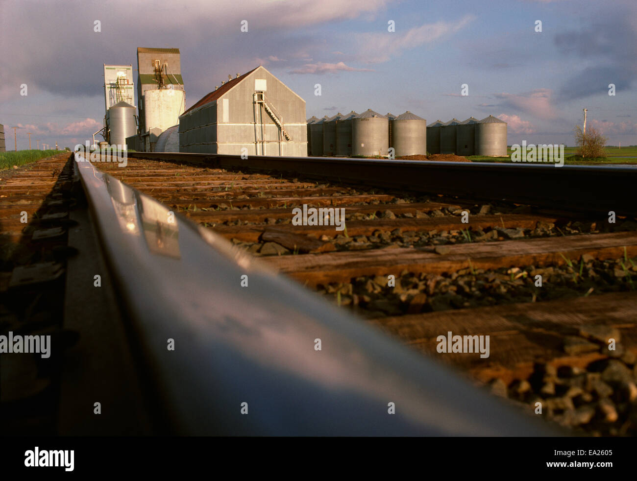 Agriculture - Railroad tracks and grain elevators in the background ...