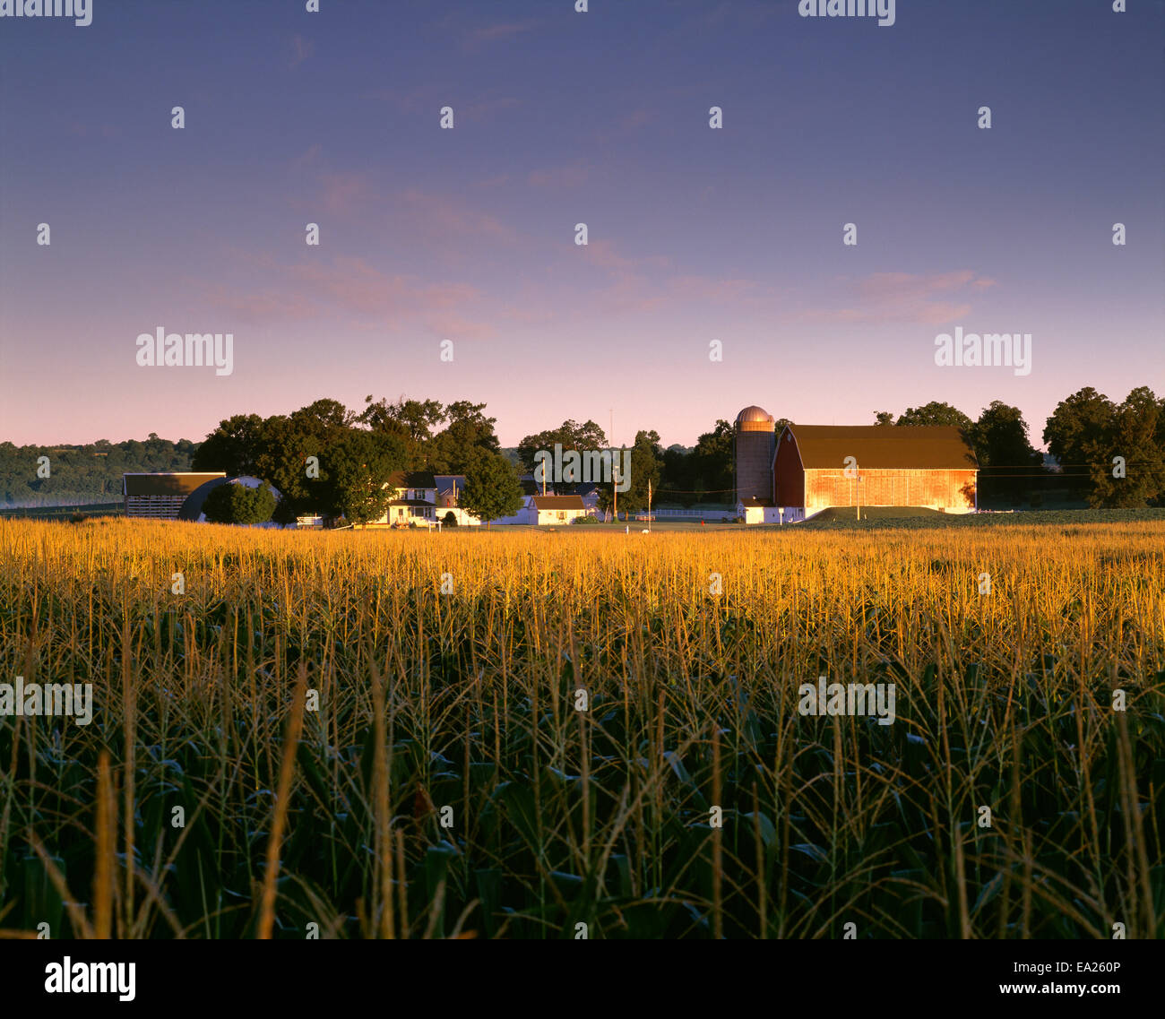 Smith field hi-res stock photography and images - Alamy