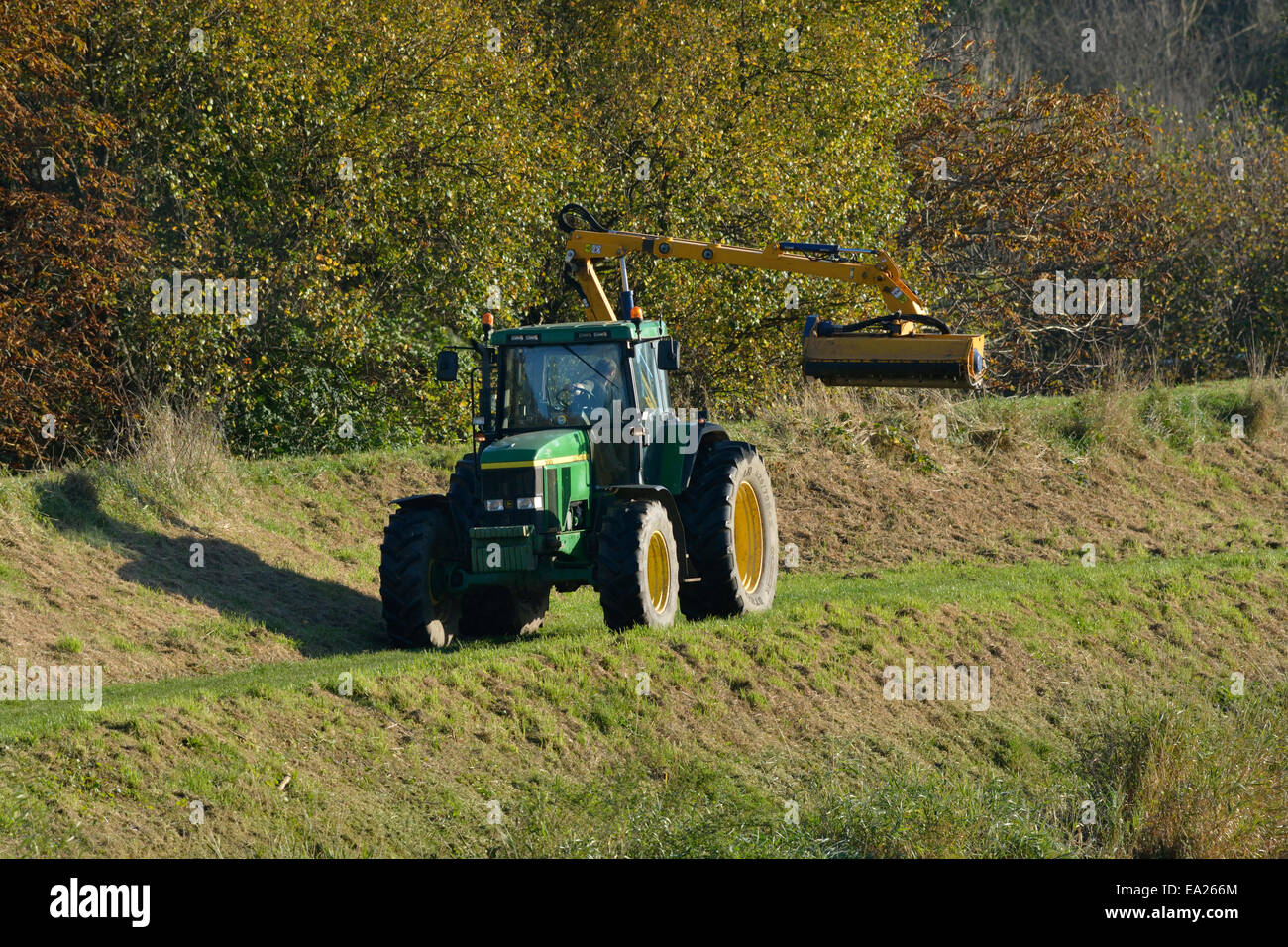 Grasscutter hi-res stock photography and images - Alamy