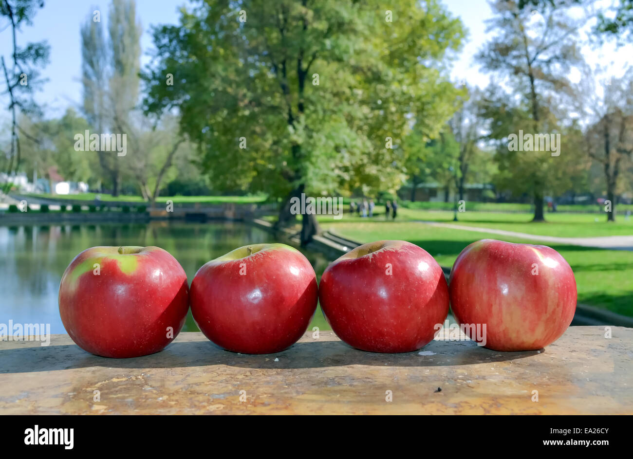 Four apples in horizontal position in the orchard Stock Photo - Alamy