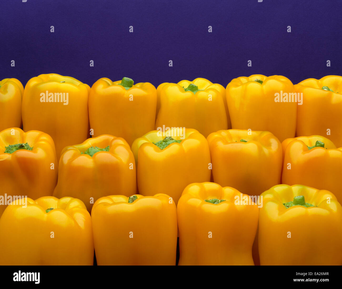 Agriculture - Produce, yellow Bell Peppers Stock Photo - Alamy
