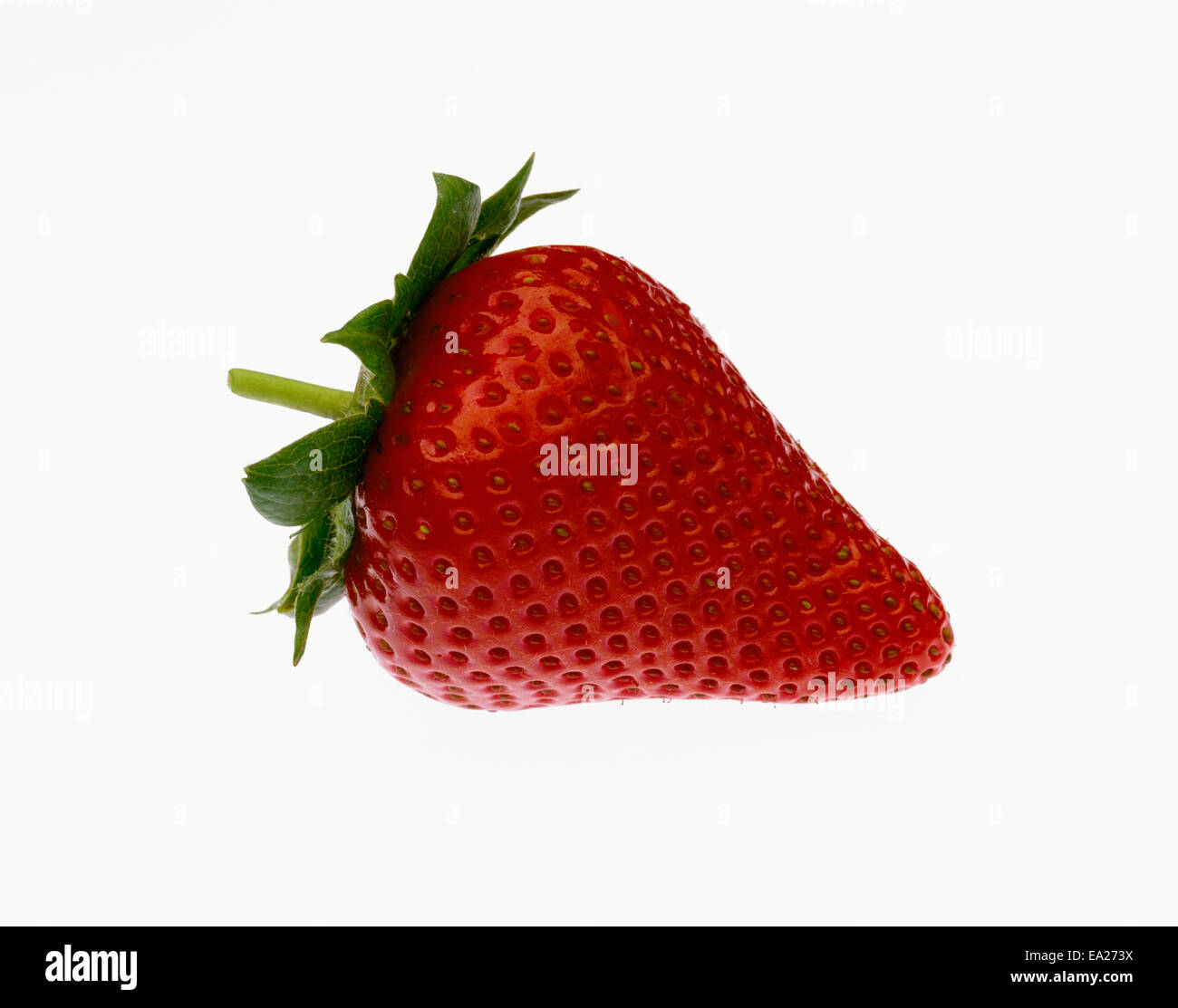 Agriculture - Fruit, Single Strawberry, studio Stock Photo - Alamy