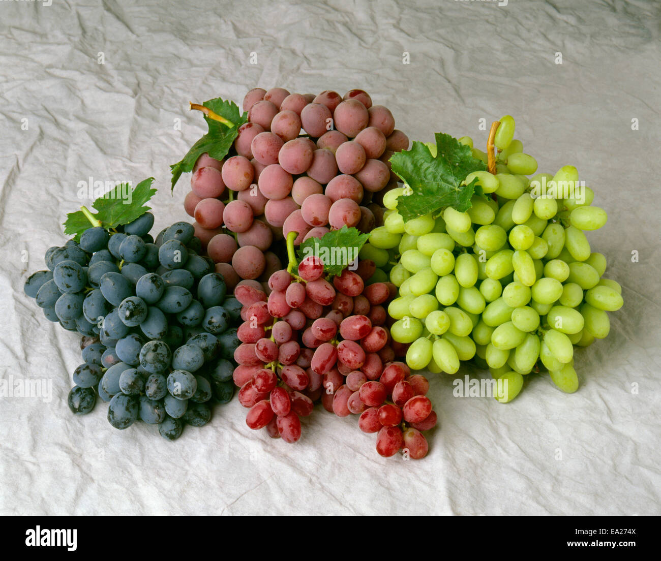 Autumn royal grape hi-res stock photography and images - Alamy