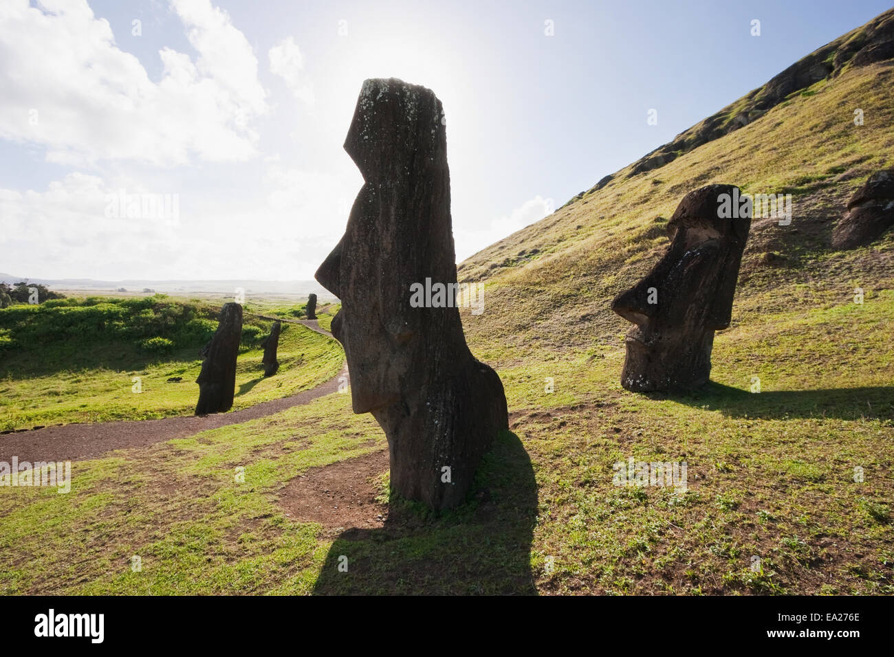 Moais By The Quarry On The Outer Slope Of The Rano Raraku Volcano, Rapa ...