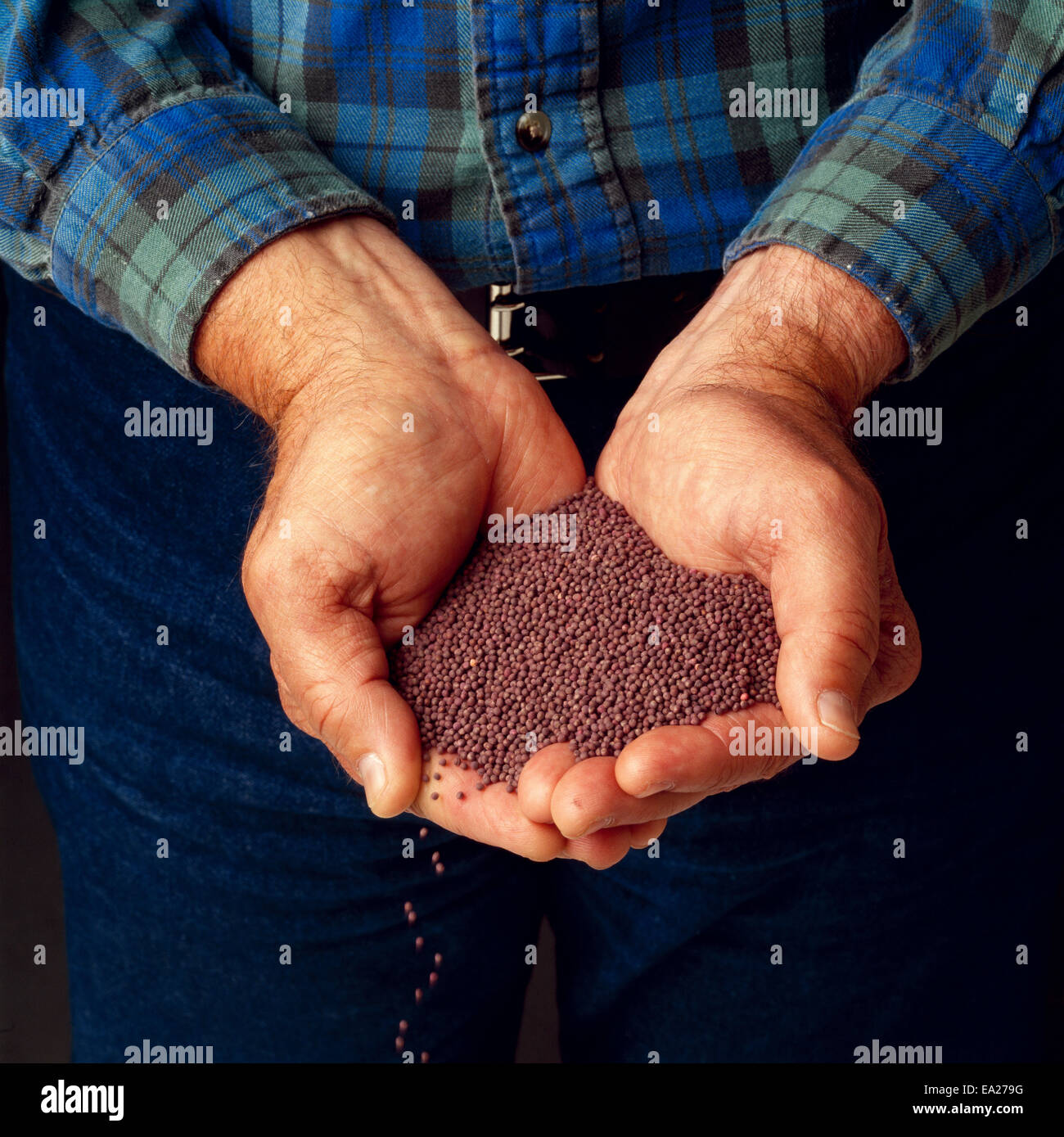 Agriculture - Farmer Stock Photo - Alamy