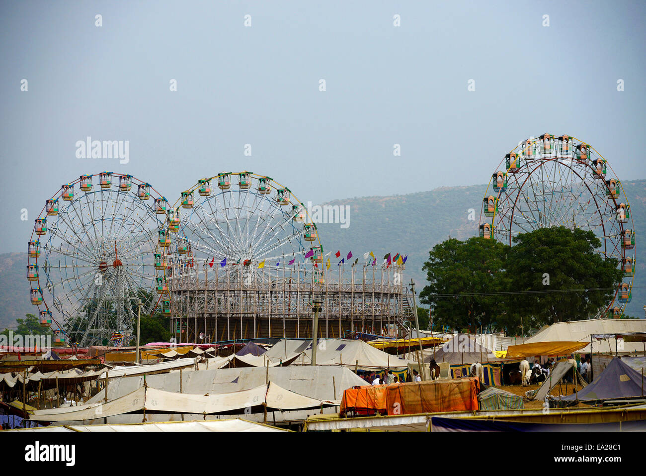 "Pushkar Fair","Pushkar Mela","Fair Ground,India,Merry-go-Round,"Giant ...