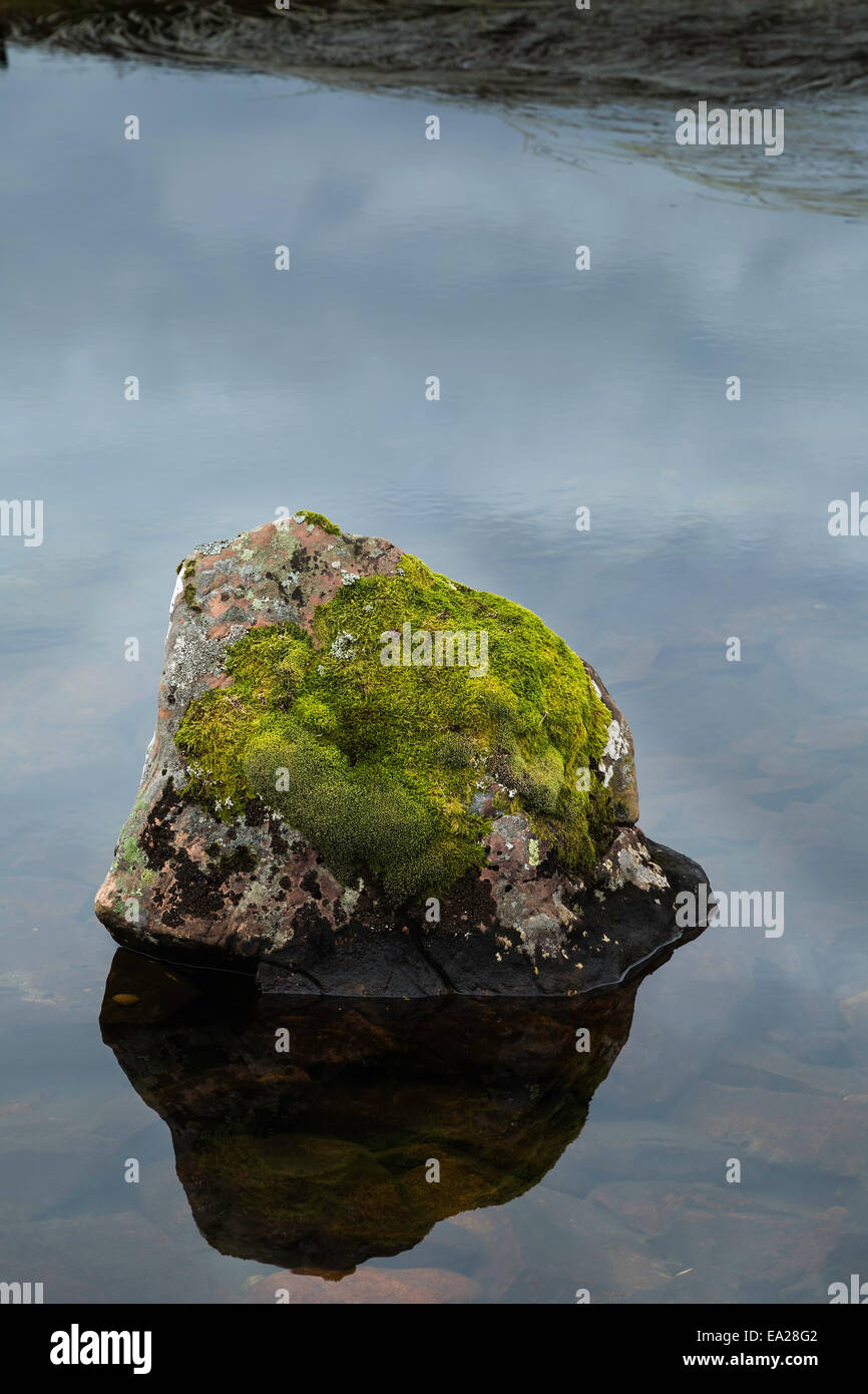Moss and lichen covered stone in Scottish lochan, Applecross peninsular ...
