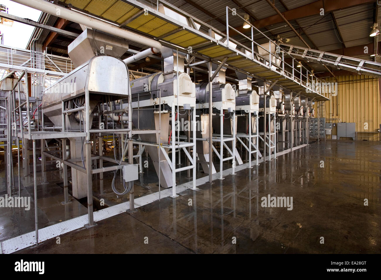 Agriculture - Nut dryers at a pistachio processing facility / near ...