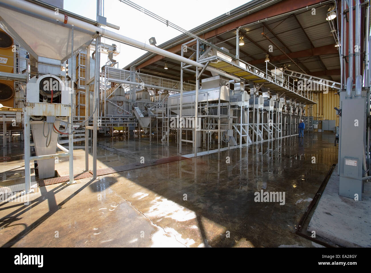 Pistachio processing hi-res stock photography and images - Alamy
