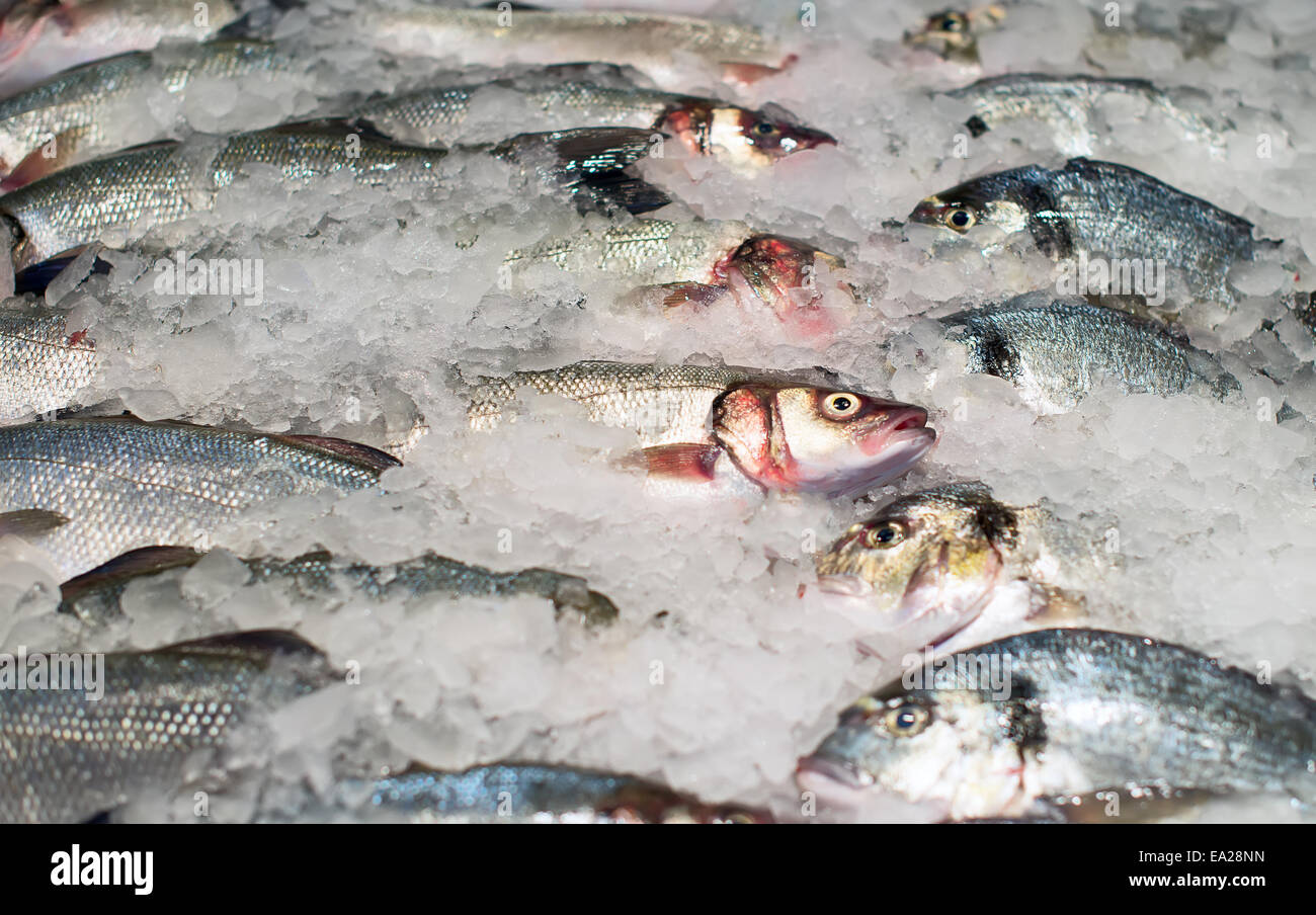 Frozen fish hi-res stock photography and images - Alamy