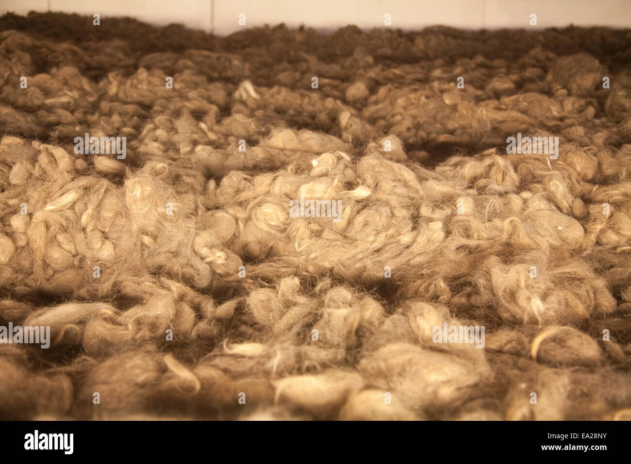 Auschwitz hair hi-res stock photography and images - Alamy
