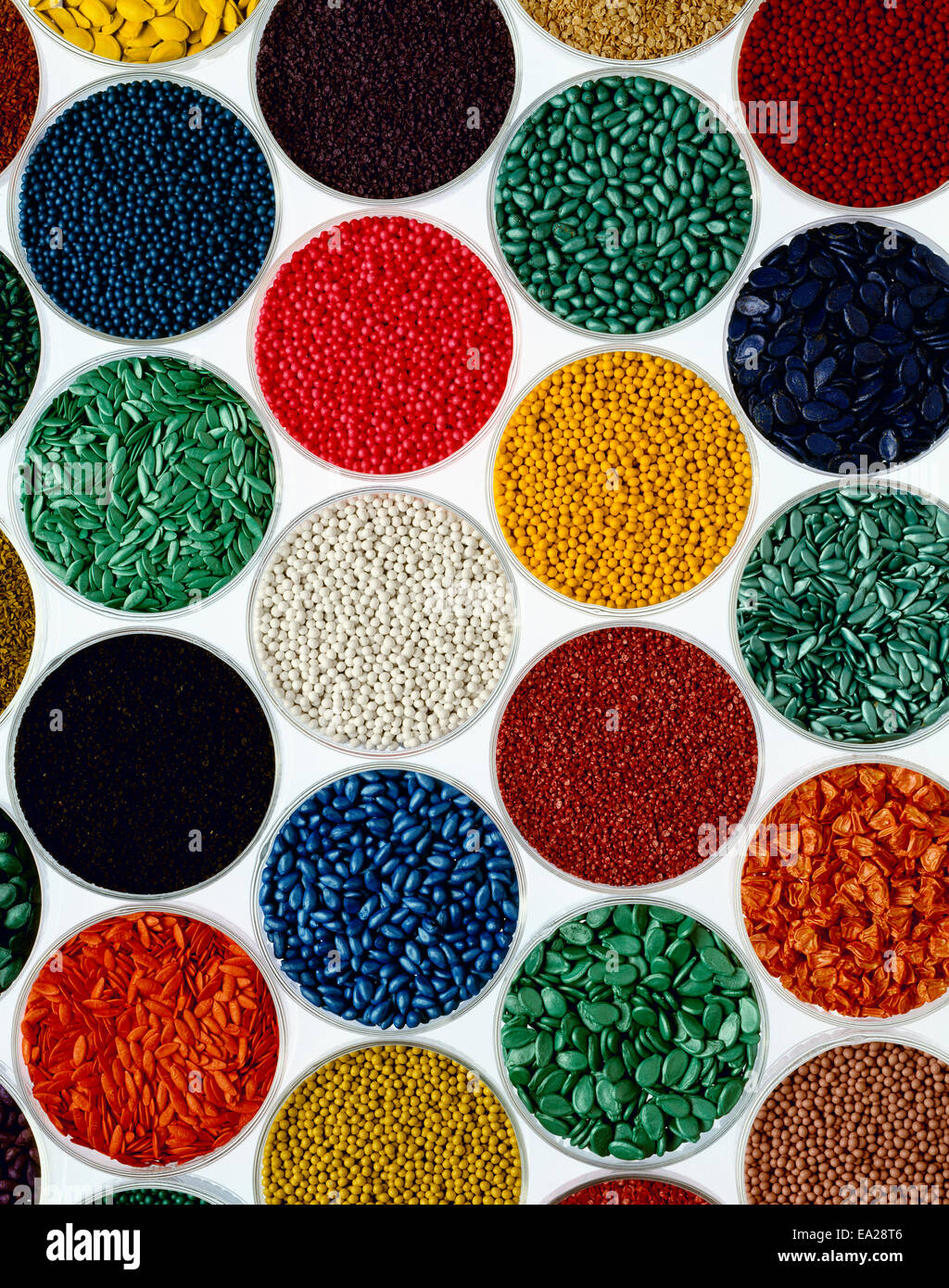 Agriculture - Coated vegetable seeds in petri dishes (version 1 Stock ...