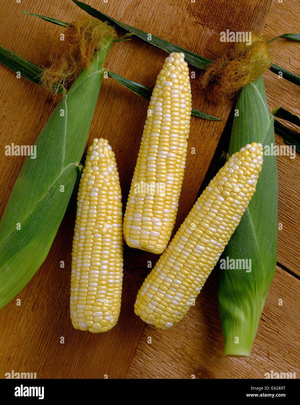 Agriculture - Ears of sweet bi-colored corn on rough cut wood; Sweet ...
