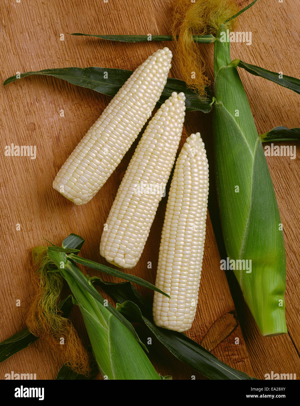 Agriculture - Ears of sweet white corn on rough cut wood; Sweet Ice ...