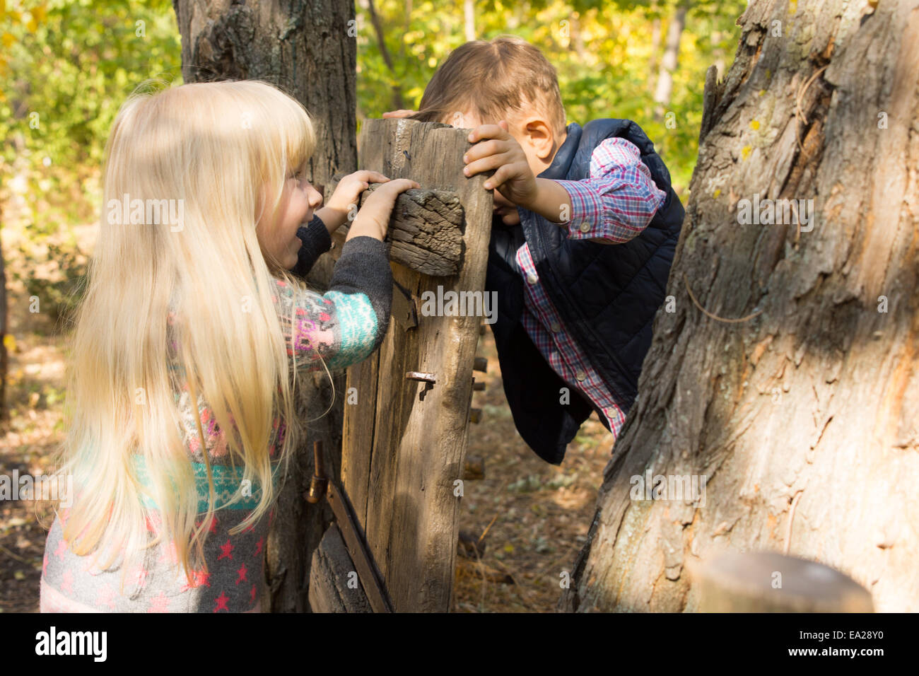 Laughing little boy and girl playing with an old rustic wooden gate ...