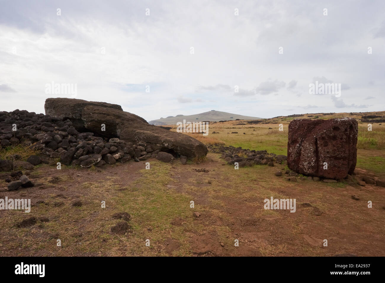Fallen Moai & Pukao (Top Knot) At Ahu Te Pito Kura, Rapa Nui (Easter ...