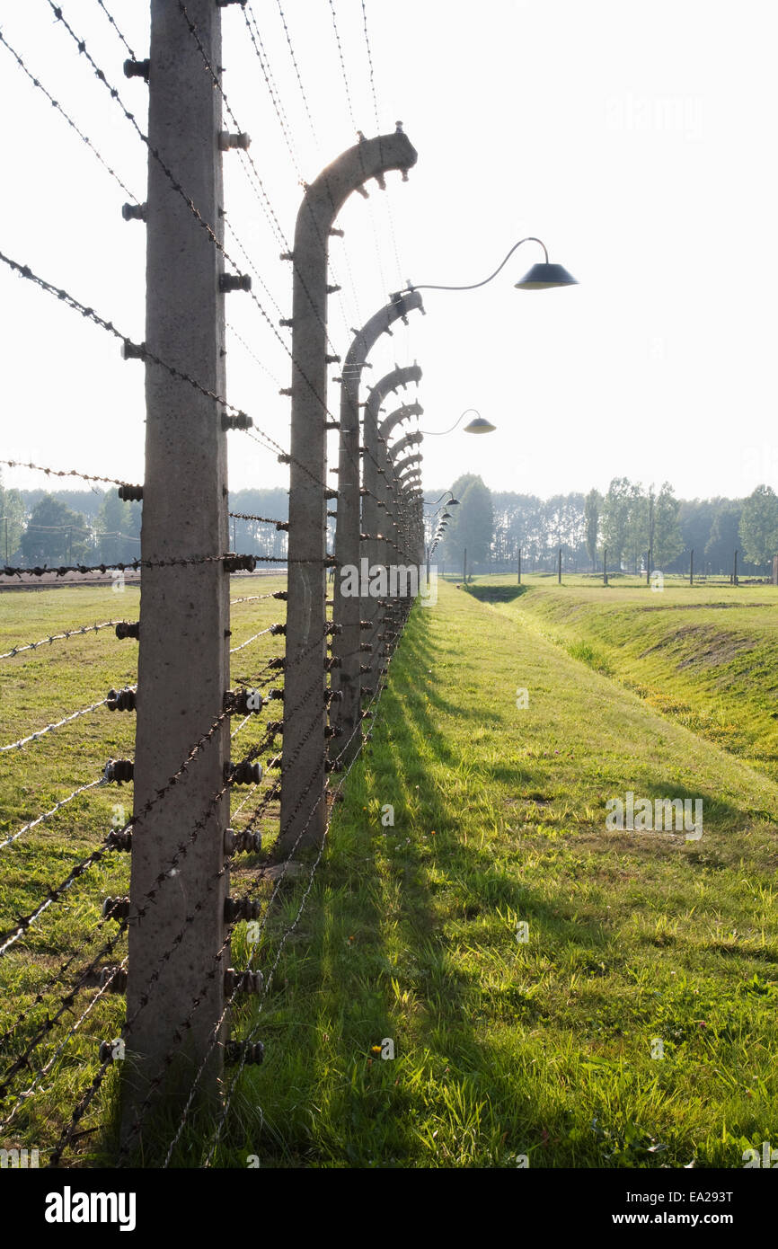 Electrified Barbed Wire Fence Separating Sections Of The Auschwitz ...
