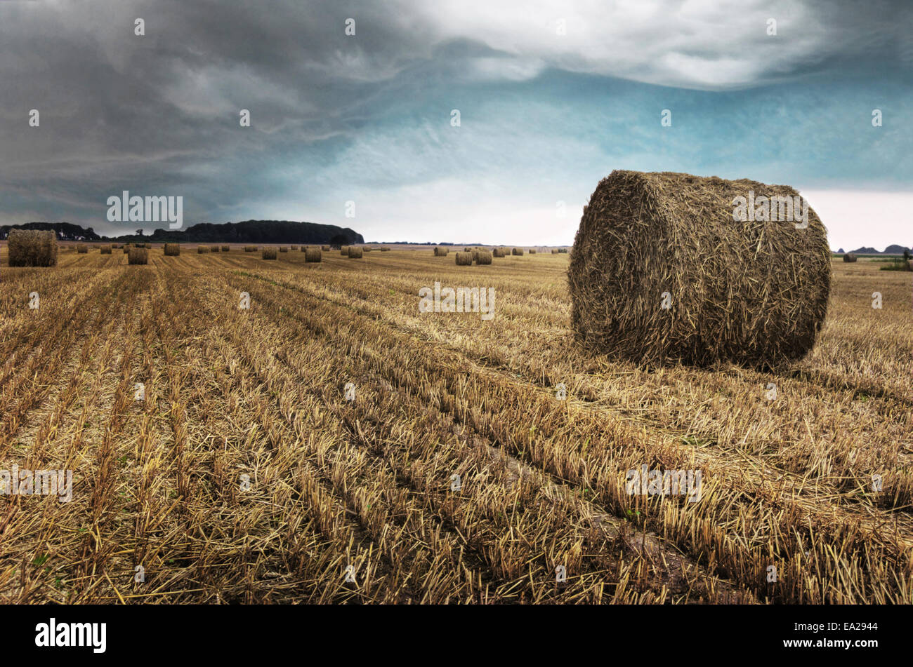 Storm over wheat field hi-res stock photography and images - Alamy