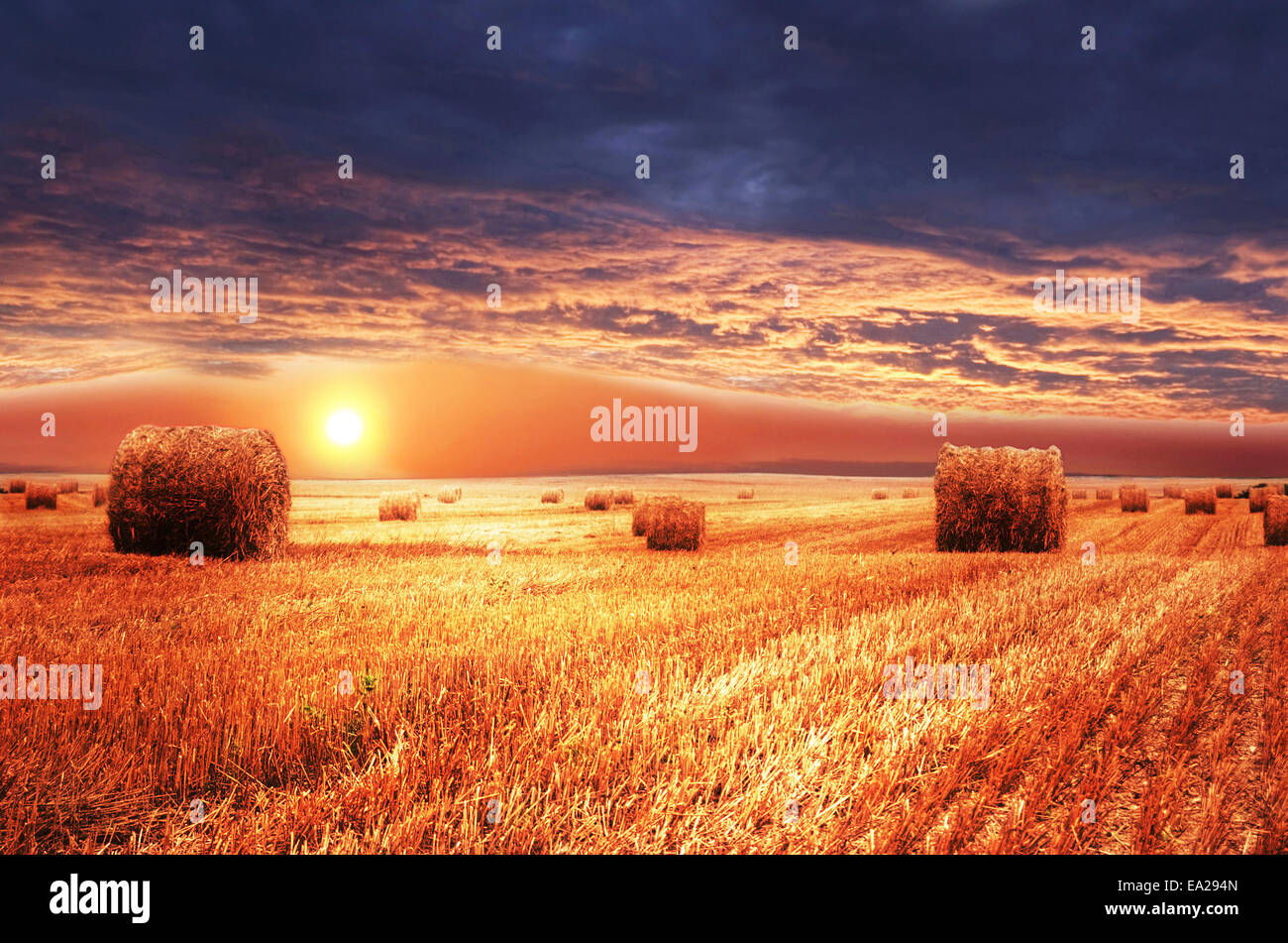 Rural landscape. Sundown on farm field Stock Photo - Alamy