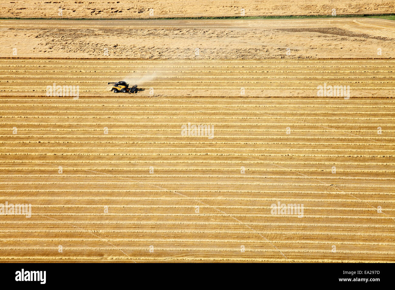 Combine harvester harvesting crop aerial hi-res stock photography and ...