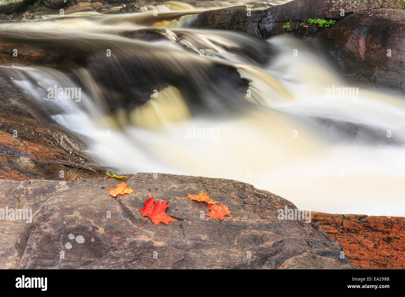 Arrowhead provincial park hi-res stock photography and images - Alamy