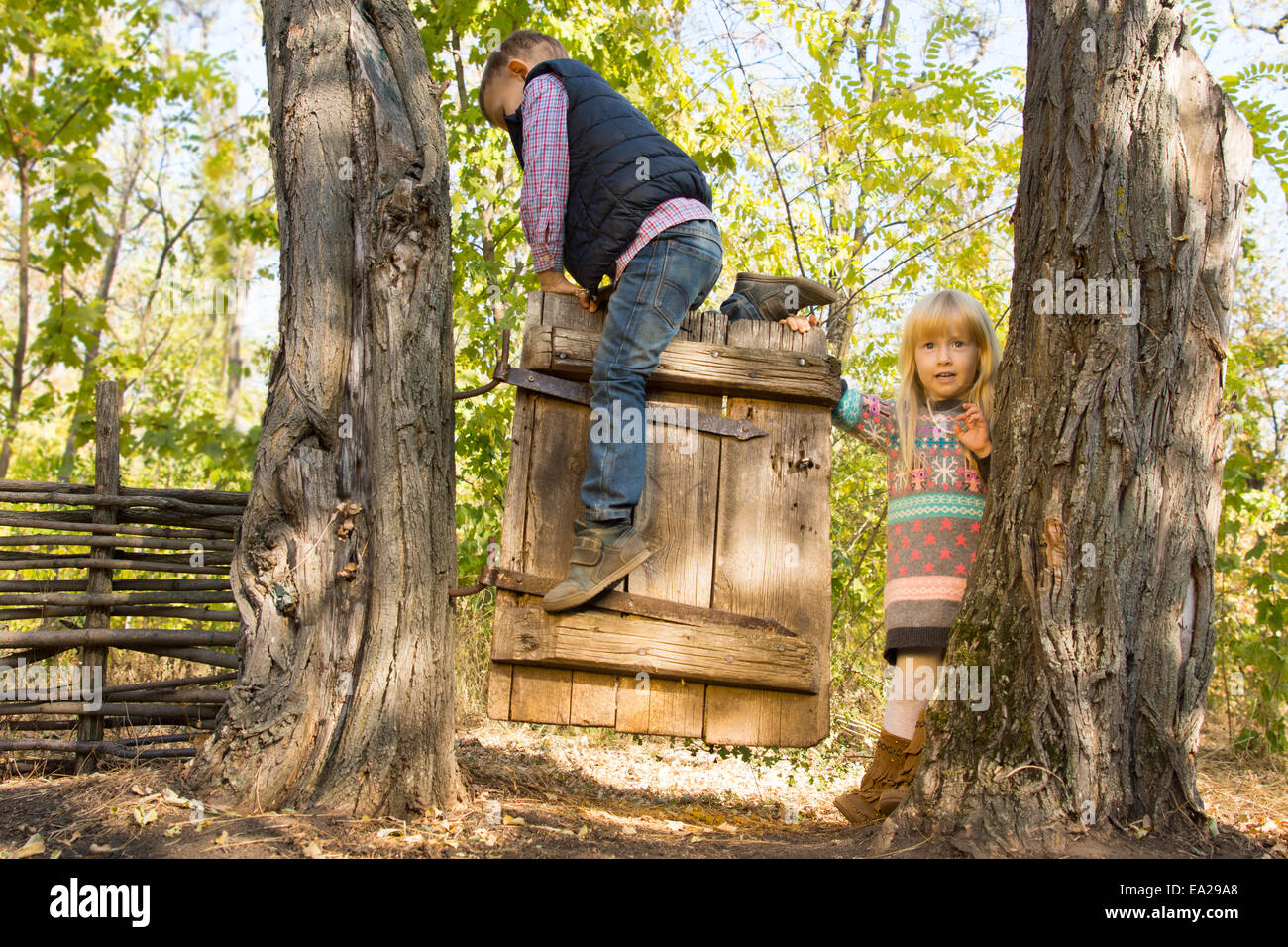 Two young children playing on an old wooden gate outdoors in woodland ...