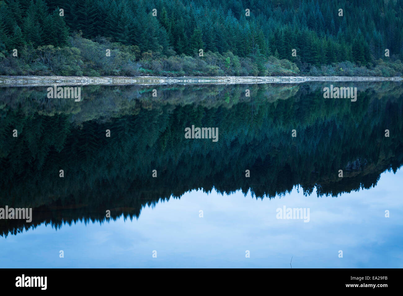 Wester ross and scotland and forest hi-res stock photography and images ...