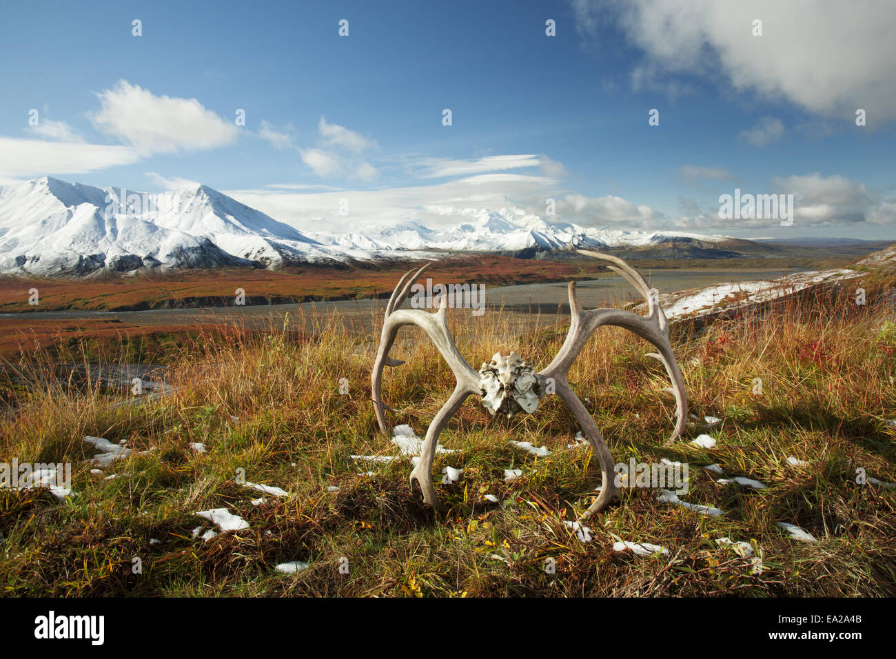 Mckinley death hi-res stock photography and images - Alamy