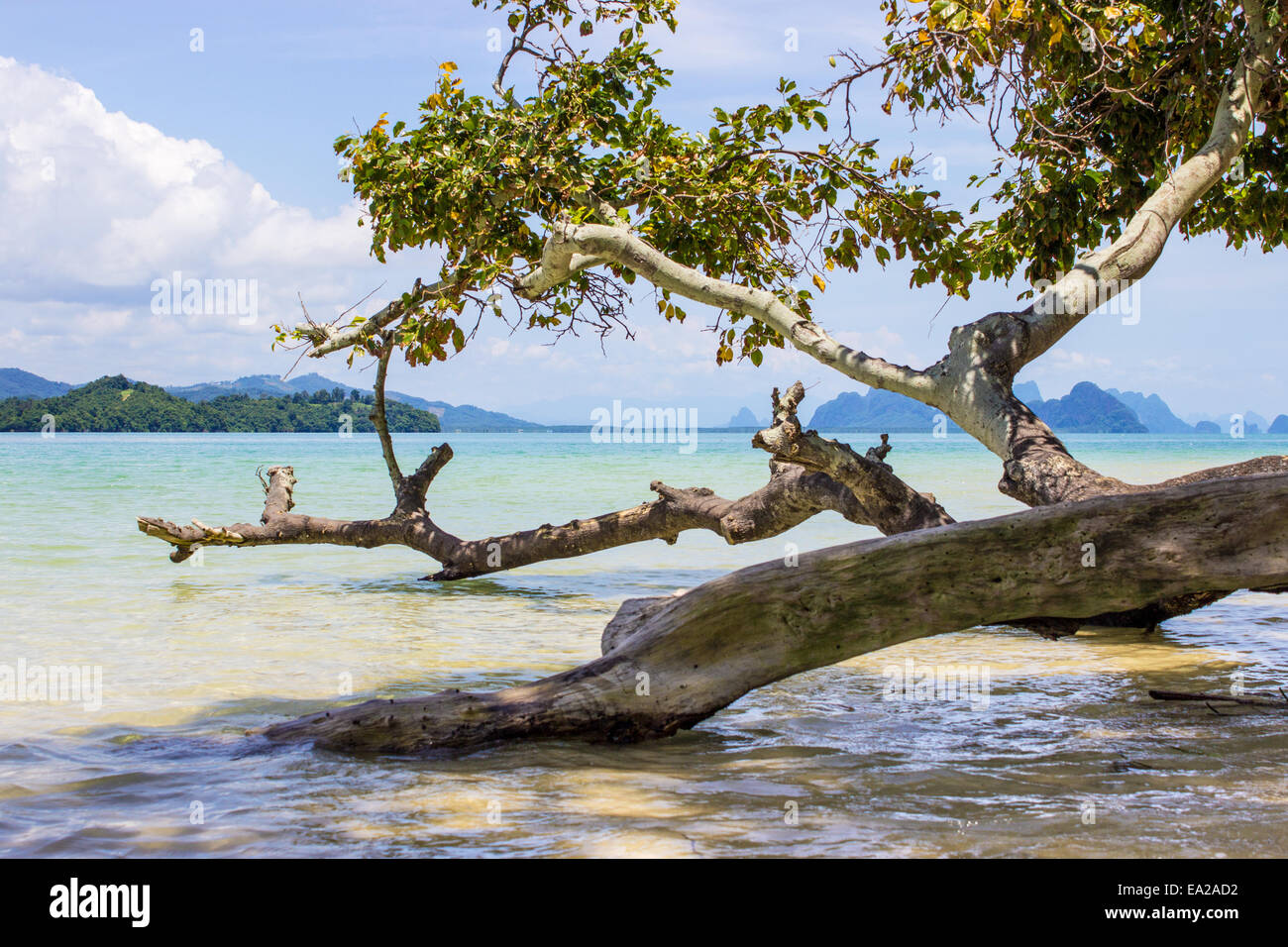 Lonely sea bay with hills Stock Photo - Alamy