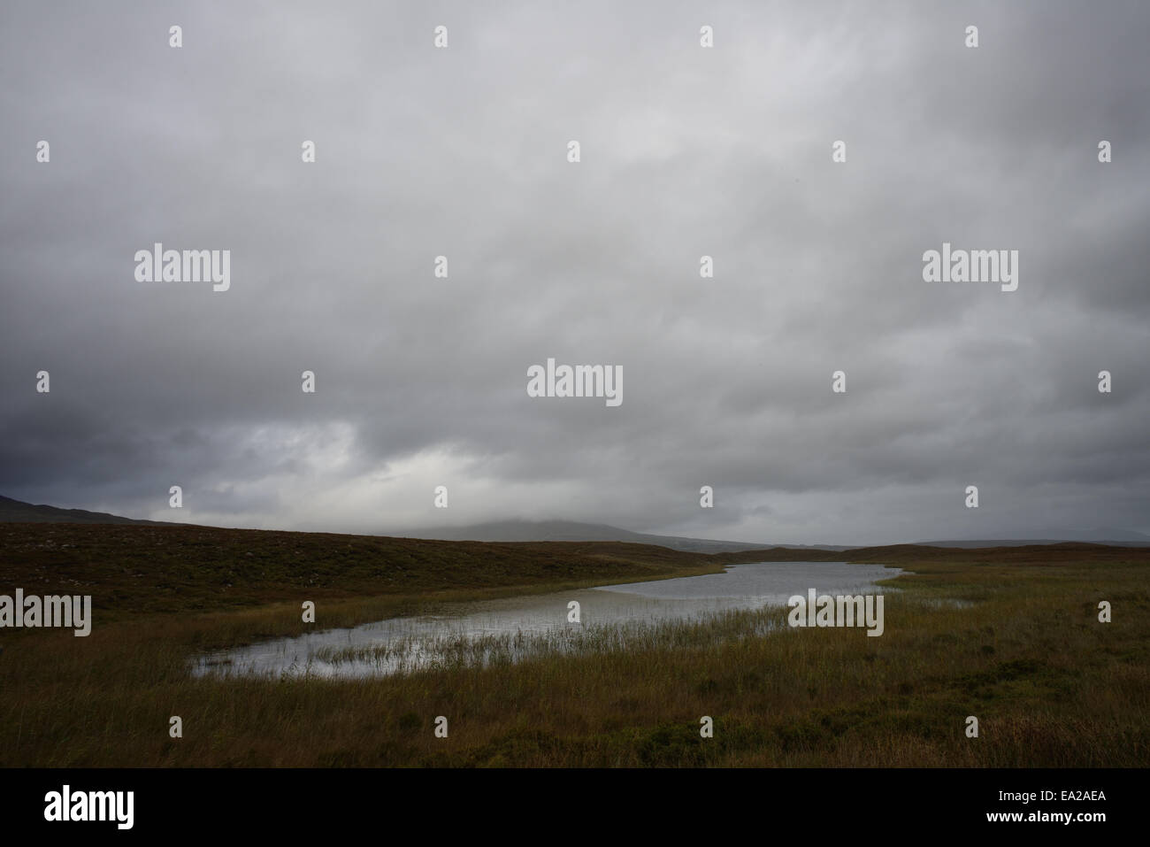 Derrycooldrim Co. Mayo Ireland. Lake reeds Stock Photo - Alamy