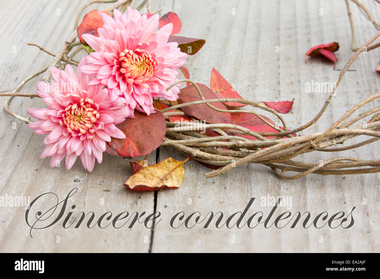 Deepest sympathy hi-res stock photography and images - Alamy