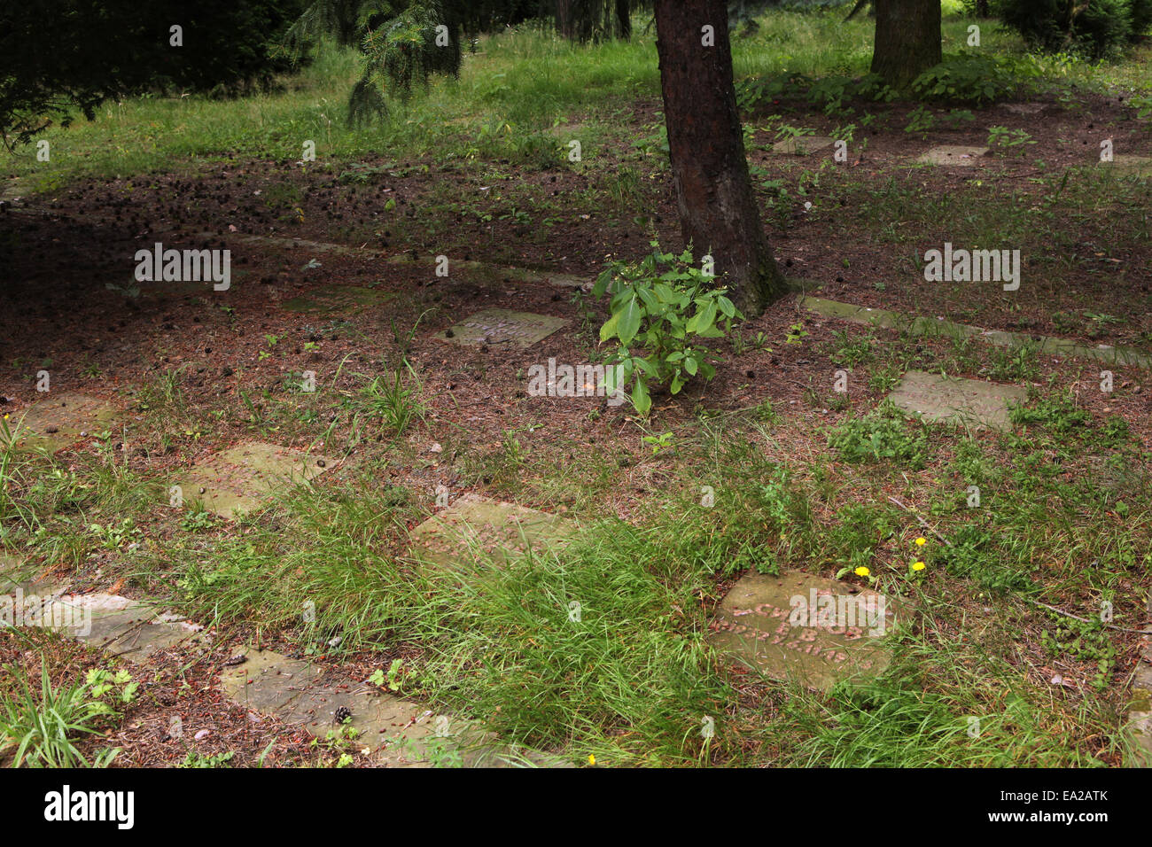 Soviet memorial dresden hi-res stock photography and images - Alamy